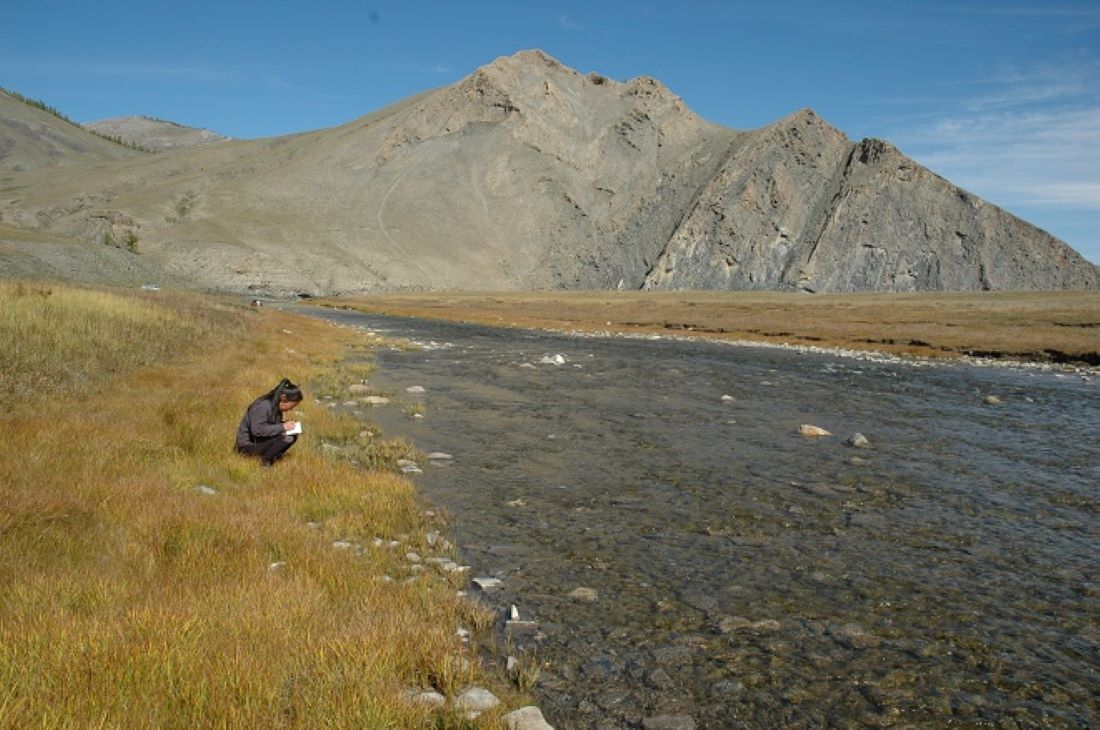 EEB Home | Department of Ecology & Evolutionary Biology